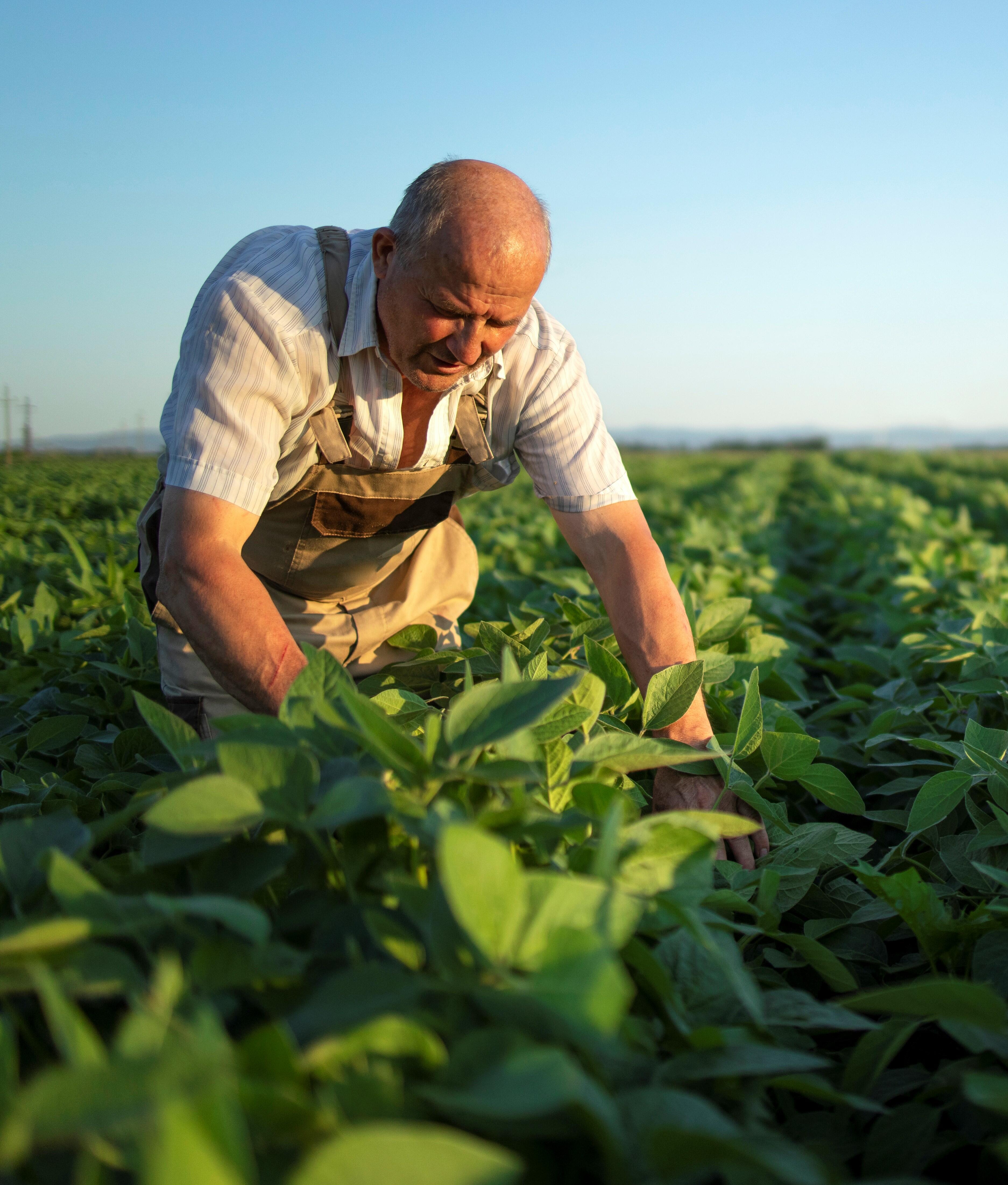 Conditionnalité de la PAC renforcée